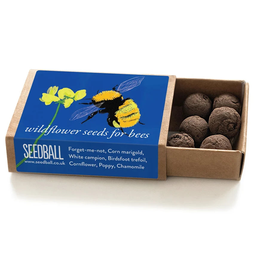 Bumblebee Box - Blue Box – The Brokedown Palace